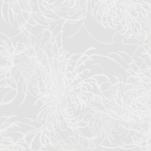 Collins and Company | Wall Decor | 2 New Rolls Of Collins And Company ...